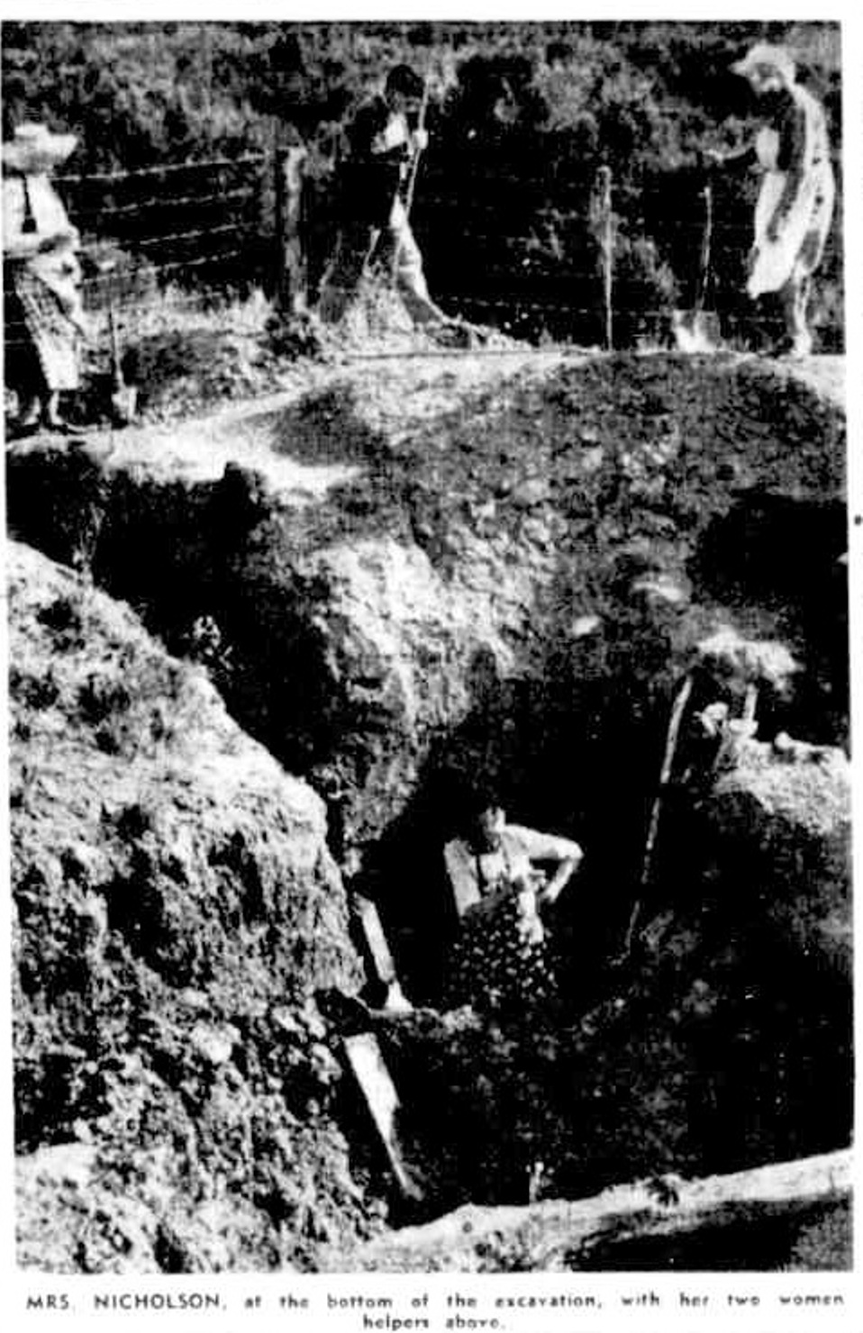 Nothing on TV - Robyn Annear