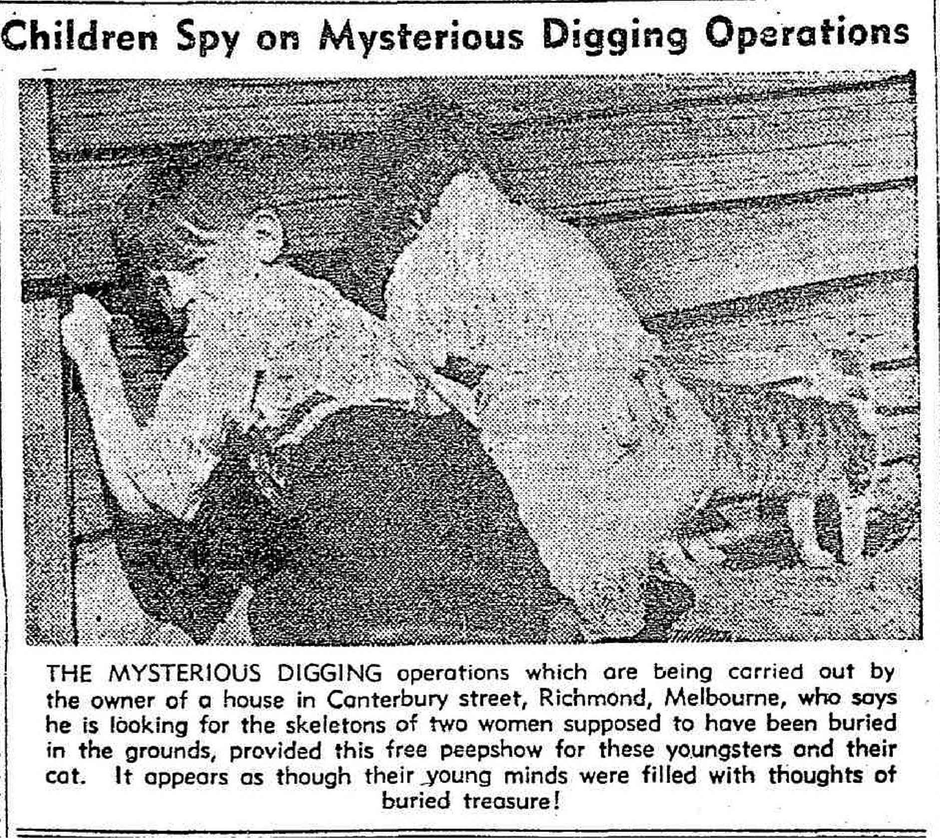 Nothing on TV - Robyn Annear